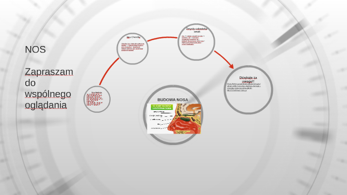 BUDOWA NOSA by Hubert Krawczyk on Prezi
