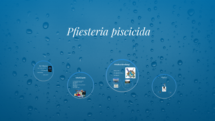 Pfiesteria piscicida by Revan Sadow on Prezi
