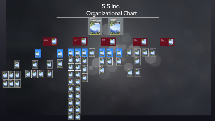 SIS Organizational Chart by Saul Canedo on Prezi