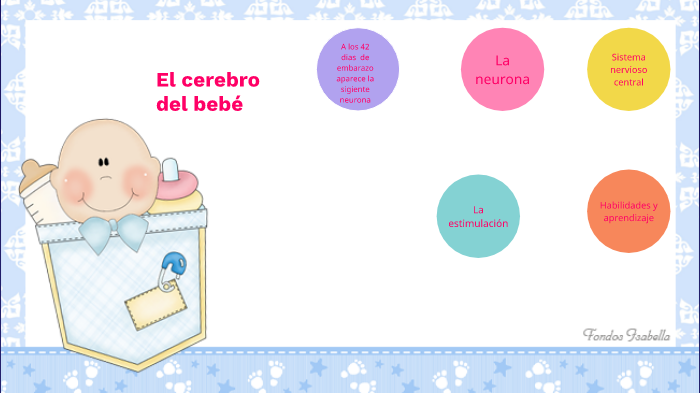 El cerebro del bebé by LETICIA RAMIRZ on Prezi