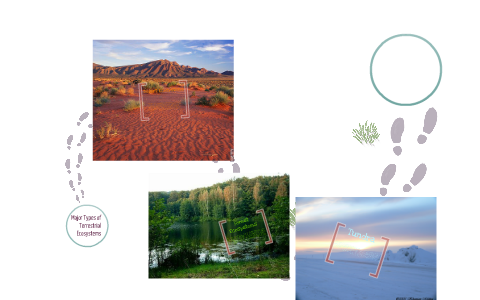 Major Types of Terrestrial Ecosystems by Brent Blackburn on Prezi