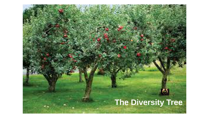 The Diversity Tree by on Prezi