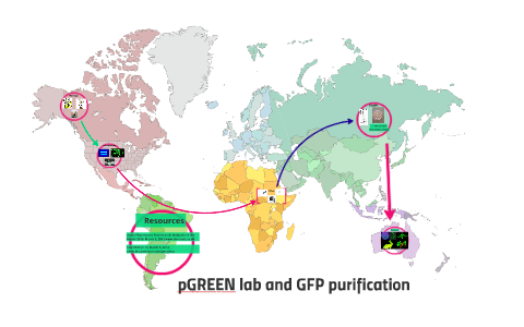 pGREEN lab and GFP purification by Brett Harkins on Prezi