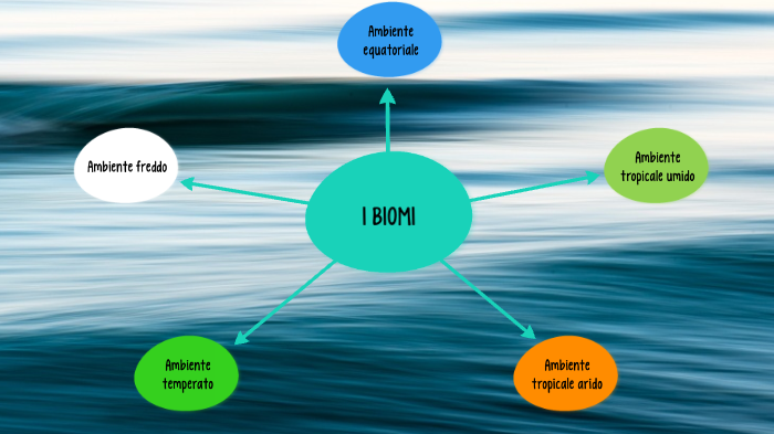 BIOMI by Nicole Spata on Prezi