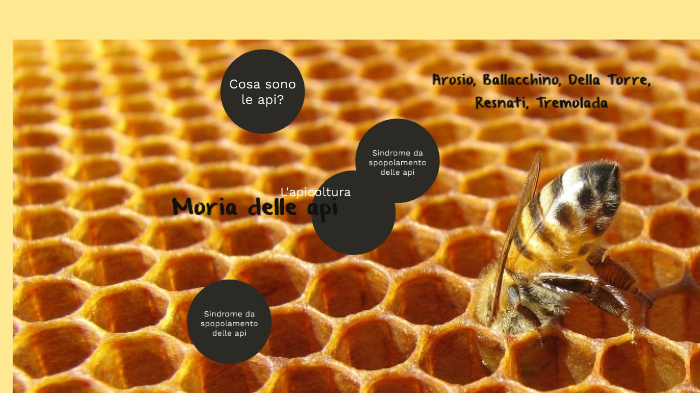 moria delle api by Tommaso Arosio on Prezi