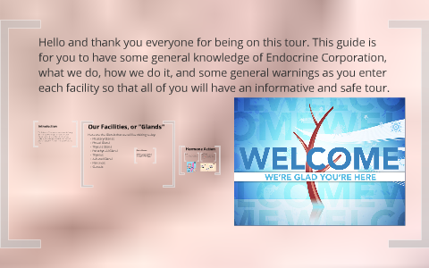 Endocrine System Brochure Pamphlet by Lam Huynh on Prezi