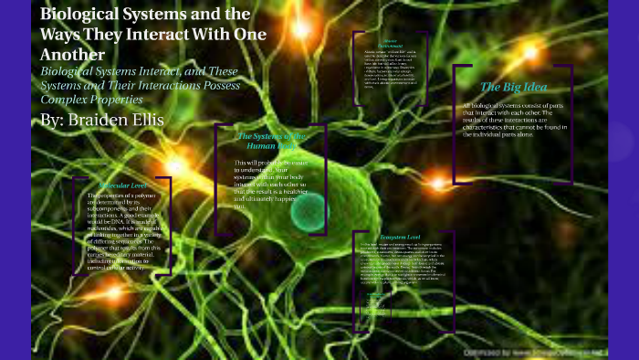 Biological Systems and the Ways They Interact With One Another by ...