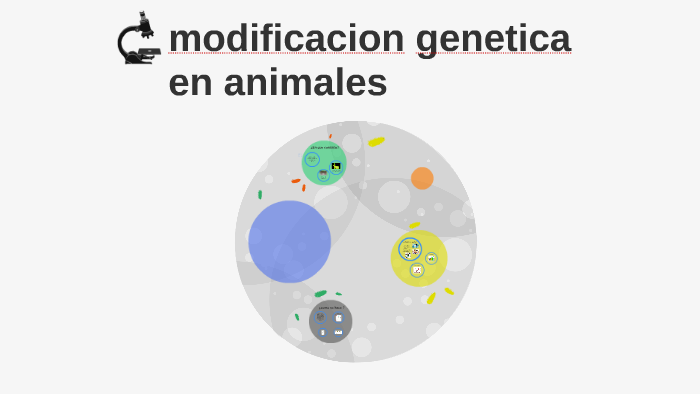 modificacion genetica en animales by ana sofia rojas cortes on Prezi