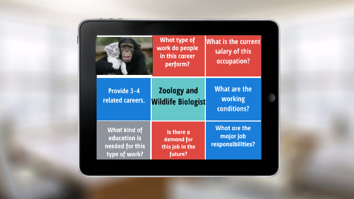 vasey by anna agoranos on Prezi