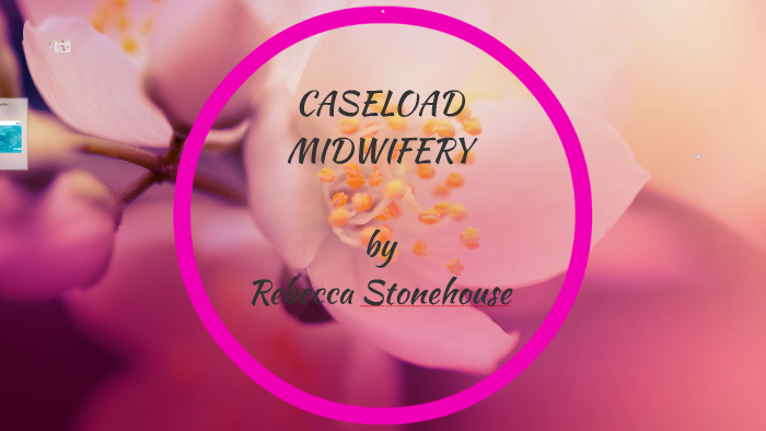 CASELOAD MIDWIFERY by on Prezi