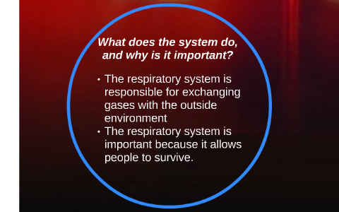 What does the system do, and why is it important? by Stephira Jean on Prezi
