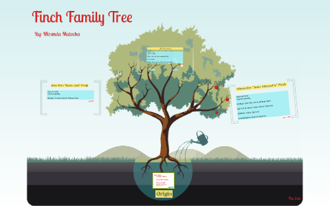 Finch Family Tree by Miranda Matocha on Prezi