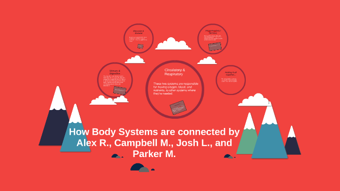 How body system interact with one another by Alex Rundquist on Prezi