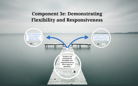 Component 3e: Demonstrating Flexibility and Responsiveness by Amy ...