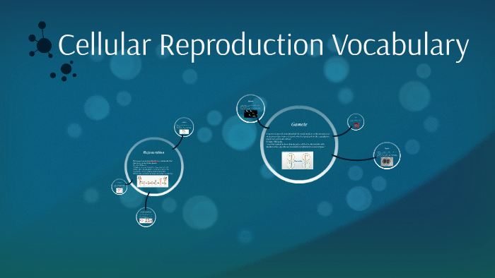Cellular Reproduction Vocabulary by Yasmin Castaneda on Prezi
