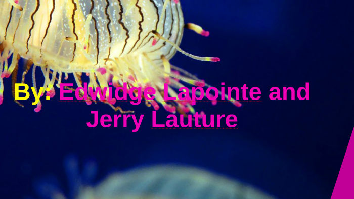 Jerry Lauture & Edwidge Lapointe by jerry lauture on Prezi