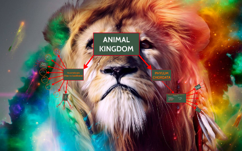 Vertebrate & Invertebrate Concept Map by Mason Morris on Prezi