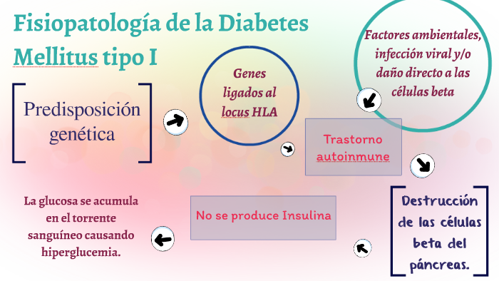 Fisiopatología de la Diabetes Mellitus tipo I by Indra Páez on Prezi