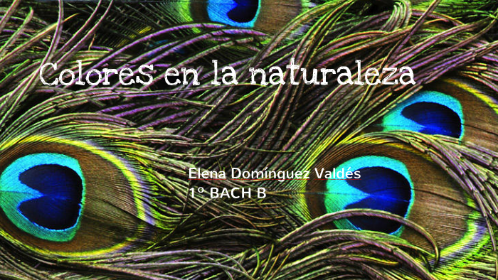 Colores en la naturaleza by teresa dominguez on Prezi