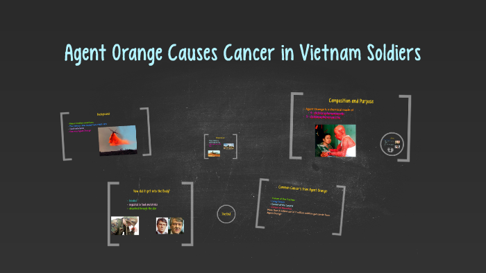 Agent Orange Causes Cancer in Vietnam Soliders by Kiera Thelen