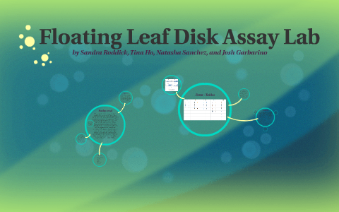 Floating Leaf Disk Assay Lab by on Prezi