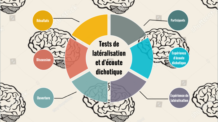neuropsy test dichotomique by Lola Pernot on Prezi