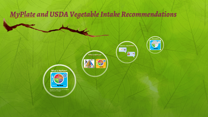 Overview of MyPlate and Vegetable Intake Recommendations by Alicia ...