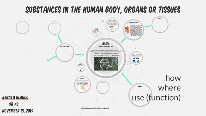 Substances in the Human Body by Renatata Blanco on Prezi