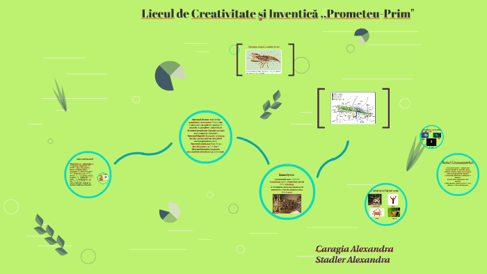 Clasa Crustacee by Alexandra Caragia on Prezi