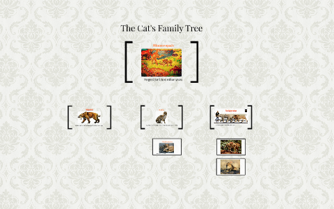 The Cat's Family Tree by Sarah Duruchukwu on Prezi