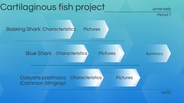 Cartilaginous Fish Project by jamie kelly on Prezi