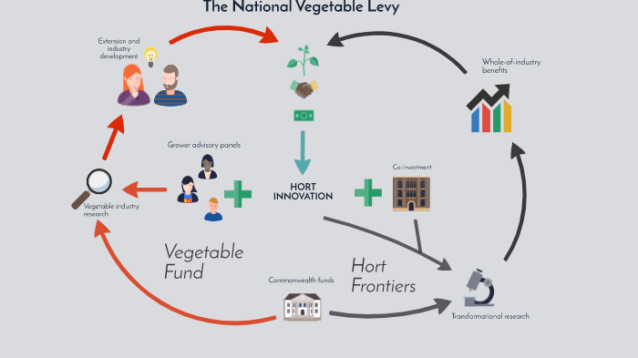 Vegetable levy system by Jarrod Strauch on Prezi