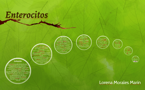 Enterocitos by Lorena Morales on Prezi
