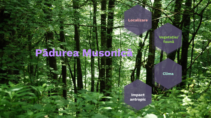 Padurea musonica by Nichifor Dana-Alexandra on Prezi