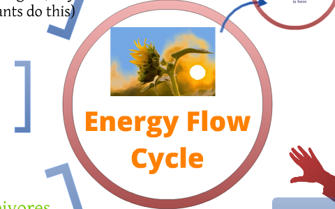 Energy Flow Cycle by Laura Morado on Prezi