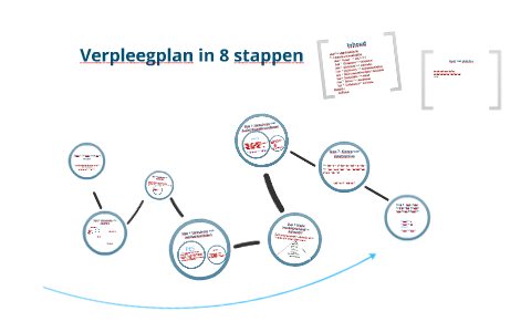 Verpleegplan in 8 stappen by Rieke Wetering on Prezi