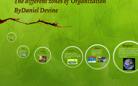 The different zones of Organization by Dan Devine on Prezi