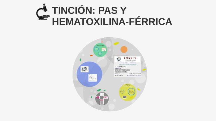TINCIÓN: PAS y by Jessica Karina on Prezi