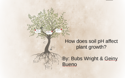 How does Soil pH affect Plant growth? by Bubs Wright on Prezi