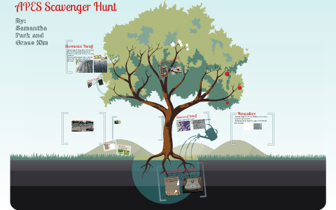APES Scavenger Hunt by Grace Kim on Prezi