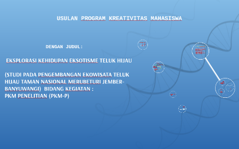 USULAN PROGRAM KREATIVITAS MAHASISWA by faisal cho