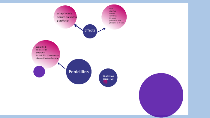 Mind Maps-RNSG 1301 Antibiotics by Reagon Alami on Prezi