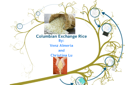 Columbian Exchange Project - Rice by Venz Almeria on Prezi