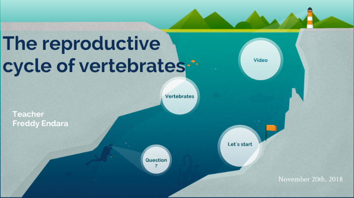 The reproductive cycle of vertebrates by Freddy Endara on Prezi