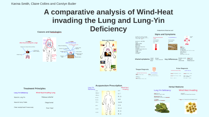 Wind-Heat Invading the Lung Versus Lung-Yin Deficiency by Carolyn ...