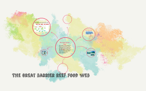 The Great Barrier Reef Food web by Lucie Rumble on Prezi