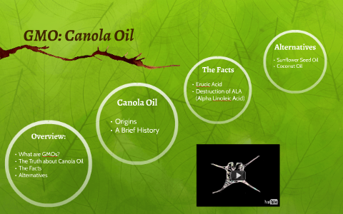 GMO: Canola Oil by Kathleen Rogers on Prezi