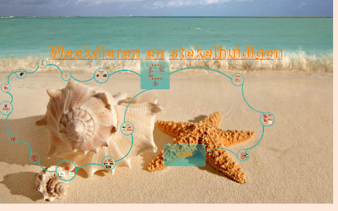 Weekdieren en Stekelhuidigen by Nils Van Meensel on Prezi