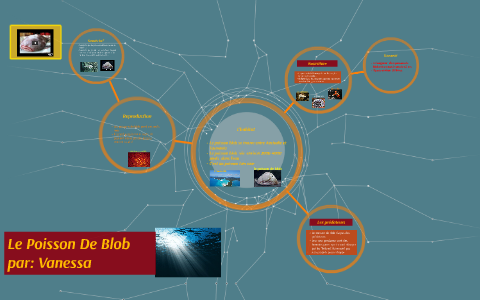 Le poisson blob by Vanessa D on Prezi