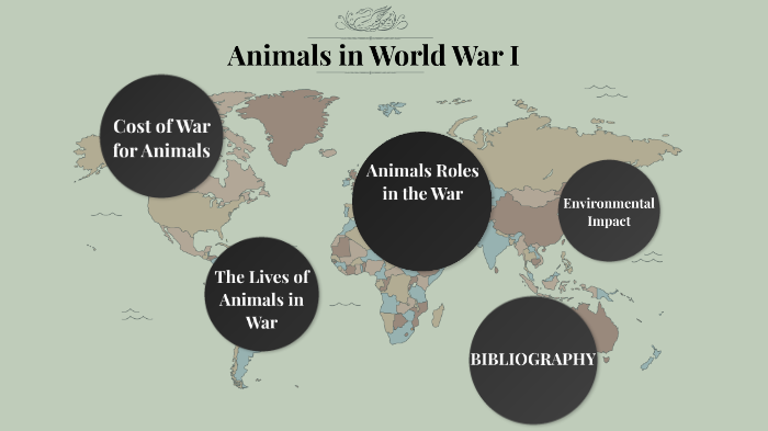 Animals Roles in World War 1 by Tia Whimpey on Prezi